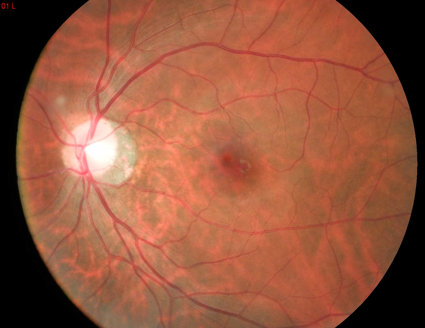 BEIJING SUNSHINE OPTICAL COMPANY LTD.